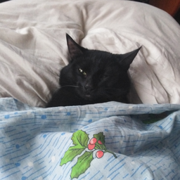 Mevius — все посты пользователя