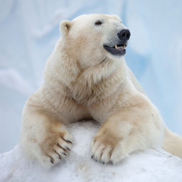 Polarny — все посты пользователя