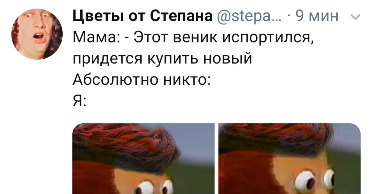 Веник | Пикабу
