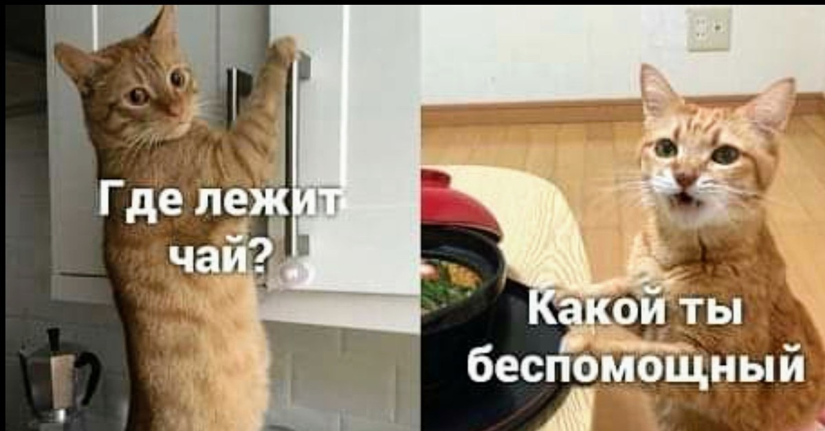 Где чай? | Пикабу