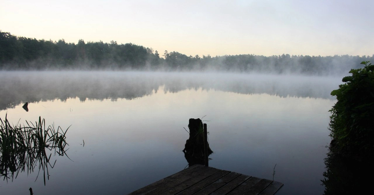 Ранее летнее утро | Пикабу