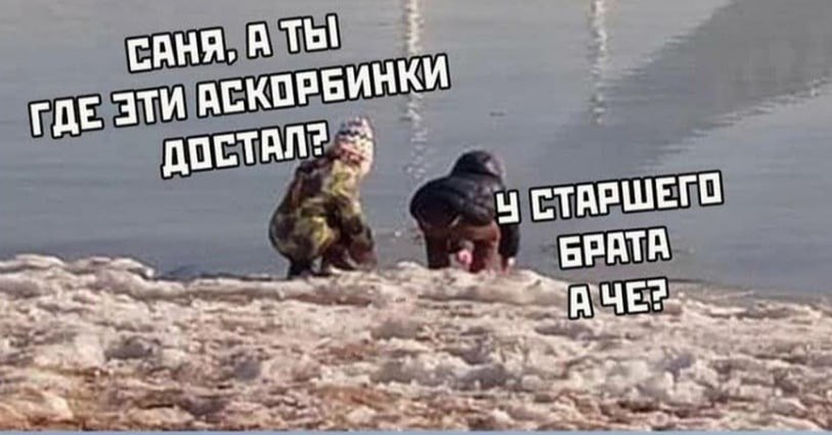 Питерские аскорбинки | Пикабу