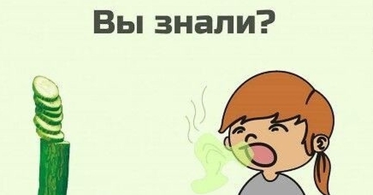 Огурец | Пикабу