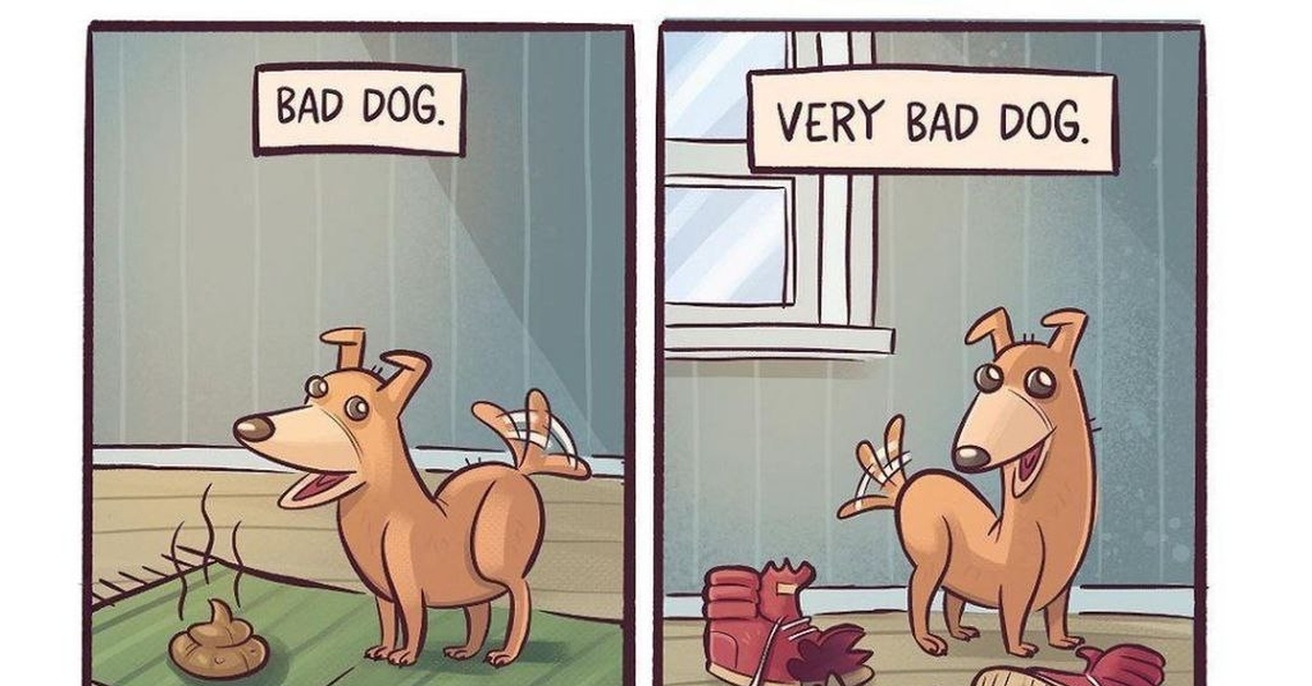 Bad Dog | Пикабу