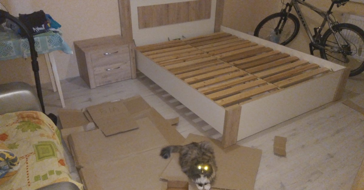 Assuming Direct Control | Пикабу