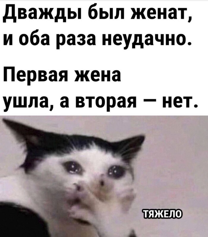 Тема брака сегодня раскрыта Пикабу