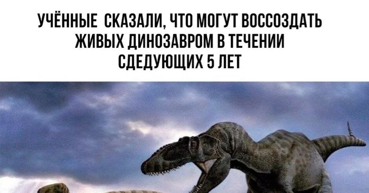 Дино | Пикабу