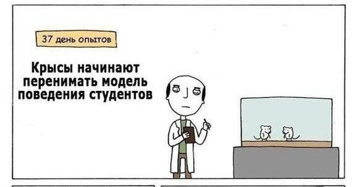 Подражание | Пикабу