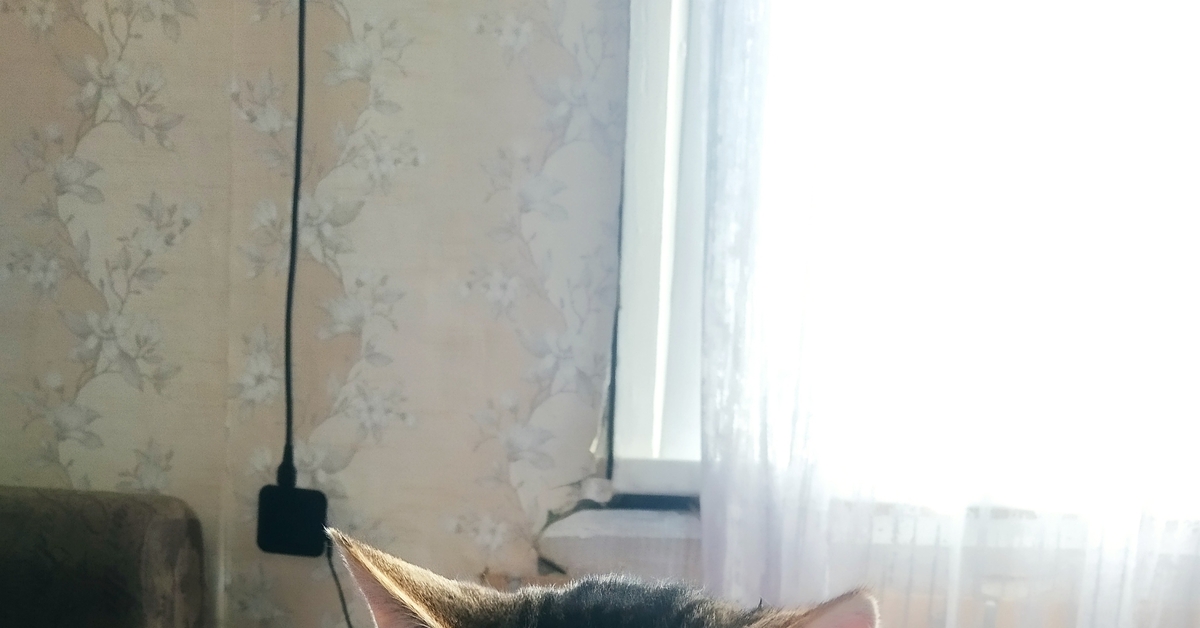 Lllll | Пикабу