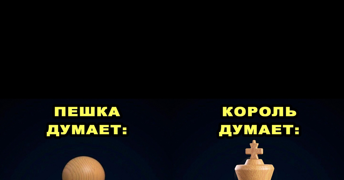 Пешка никогда не станет королём | Пикабу