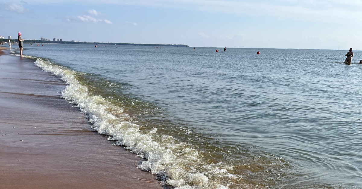 Солнечное. Финский залив | Пикабу