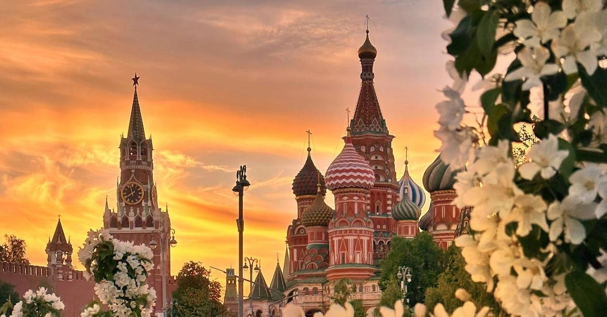 Цветущая Москва | Пикабу