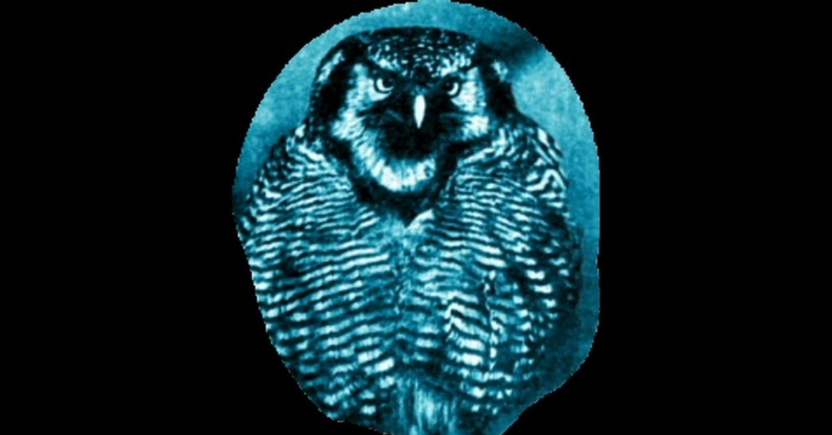 В помощь засыпающим | Пикабу