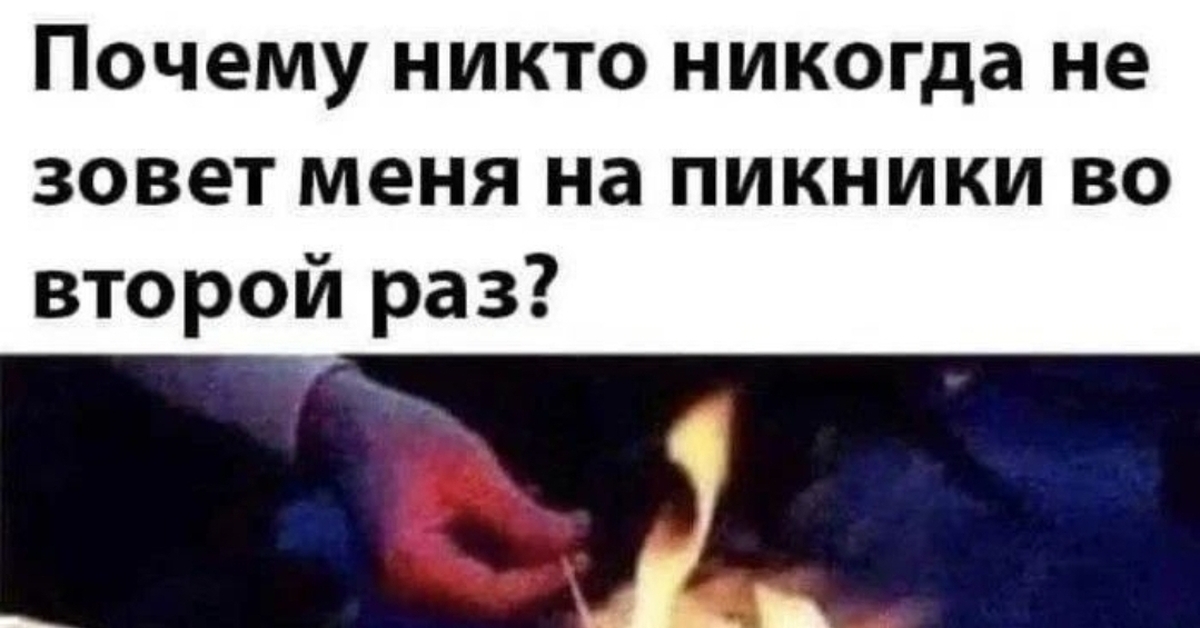 Пикник | Пикабу