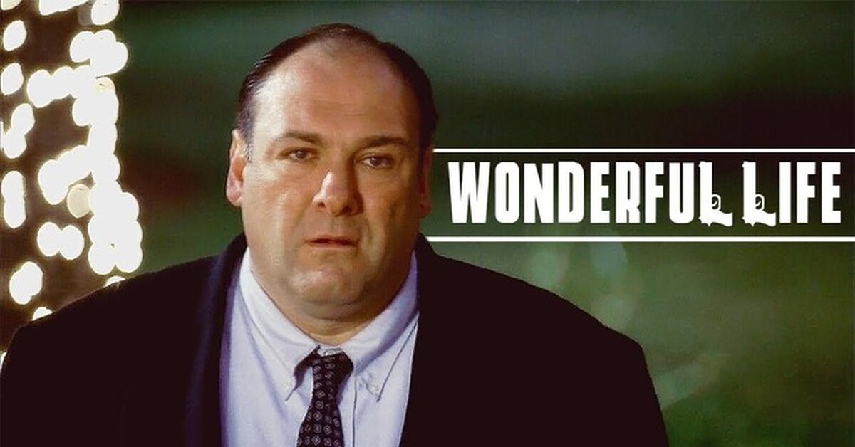 Wonderful life | Пикабу