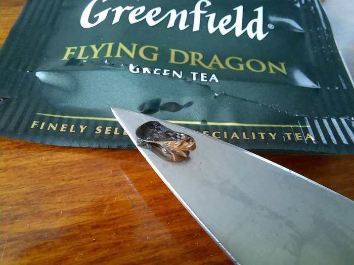 С пакетиком Greenfield попался бонус | Пикабу