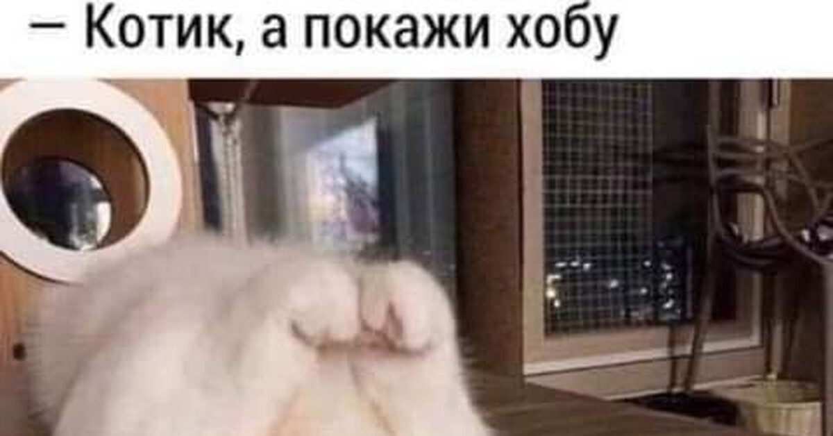 Милота | Пикабу