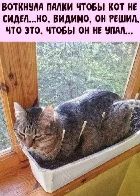 Подставка для кота | Пикабу