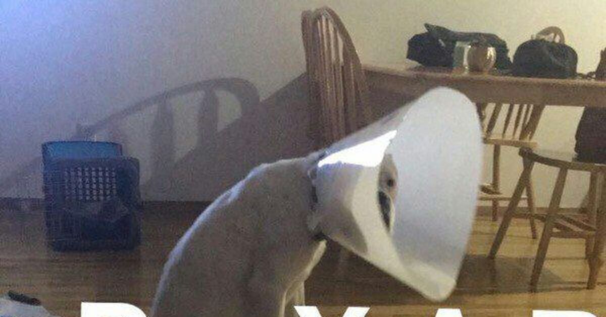 Pixar | Пикабу