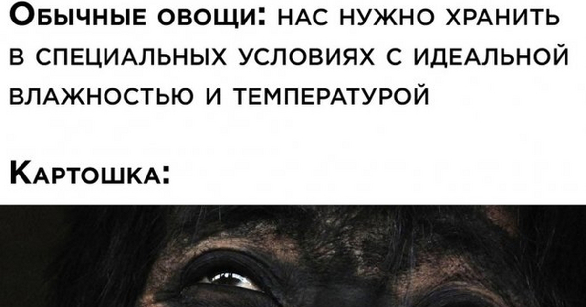 Картошка | Пикабу