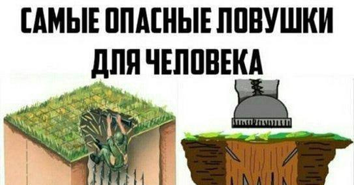 Ловушки | Пикабу