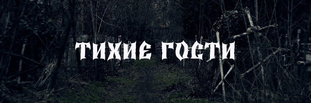 Тихие гости | Пикабу