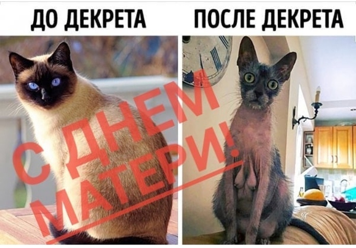 С днём матери Пикабу
