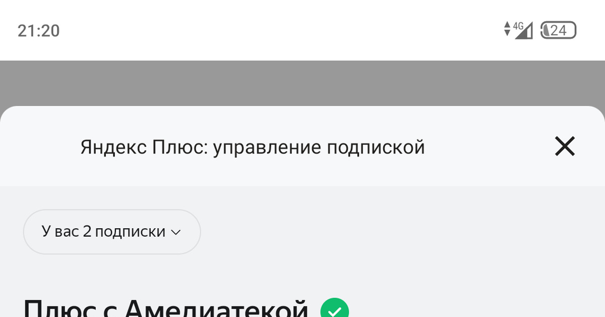 Яндекс плюс Амедиатека | Пикабу