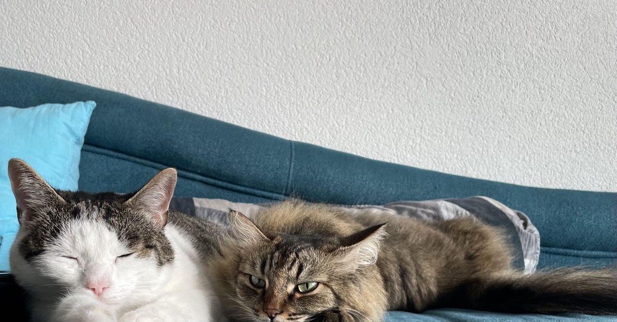 Мои любимые | Пикабу