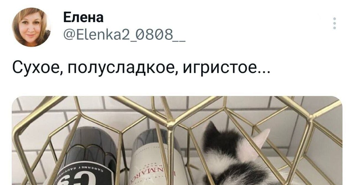 Выбор | Пикабу