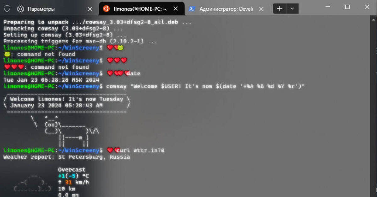 Windows Terminal Preview | Пикабу