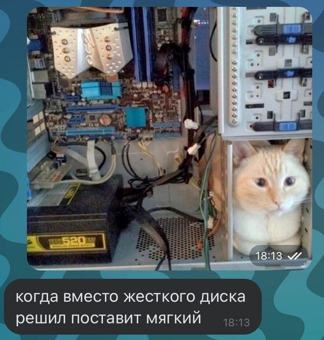И пушистый | Пикабу