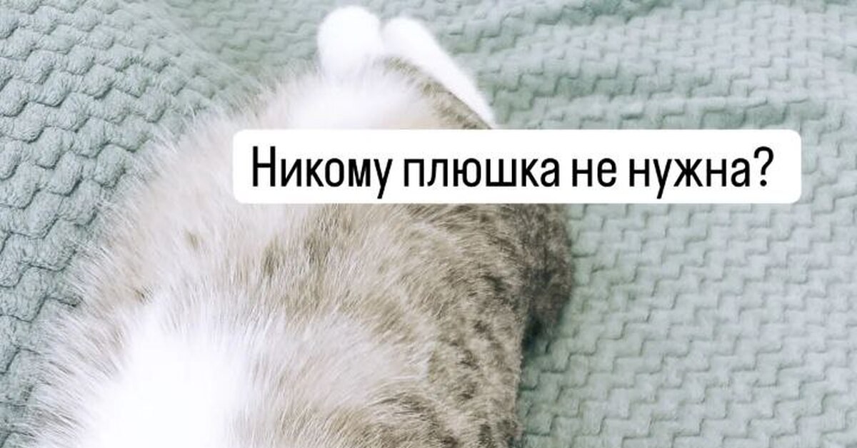 Москва. Ищу дом | Пикабу