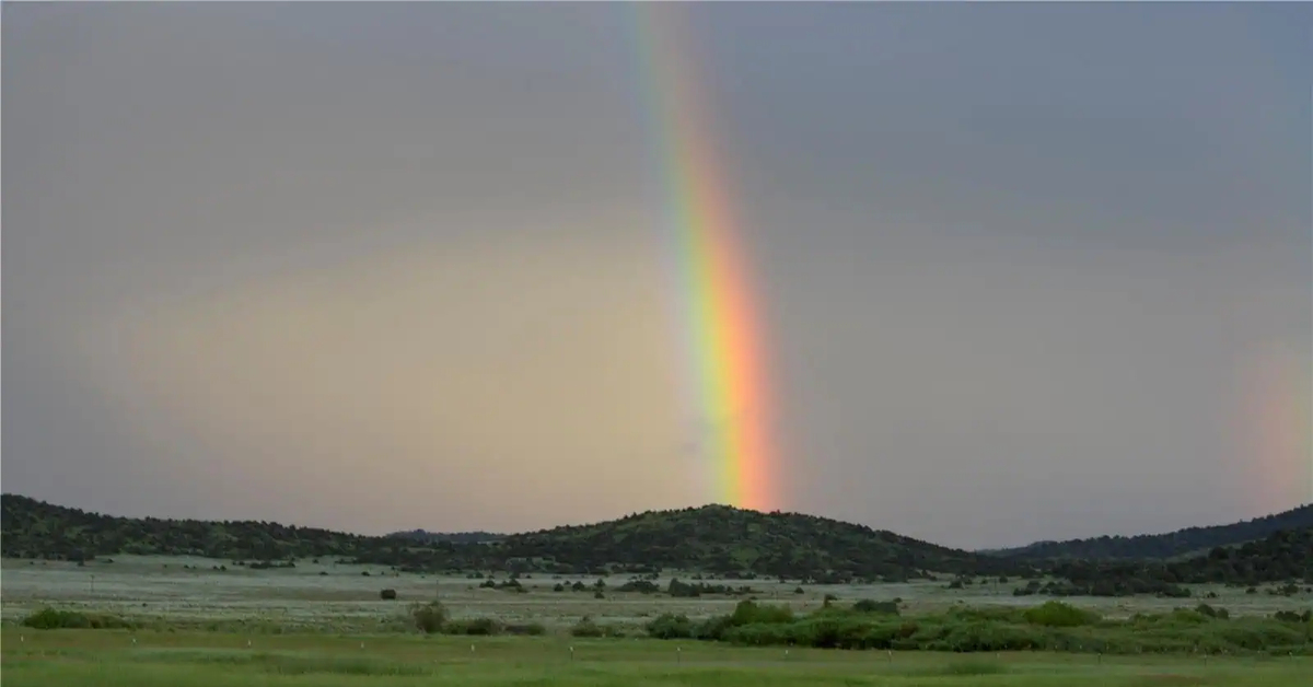 Rainbow - 26.03.24 20:06 | Пикабу