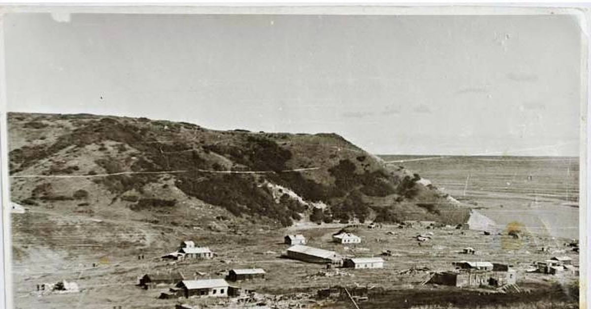 Fuimus Troes, fuit Ilium - 09.04.24 09:33 | Пикабу