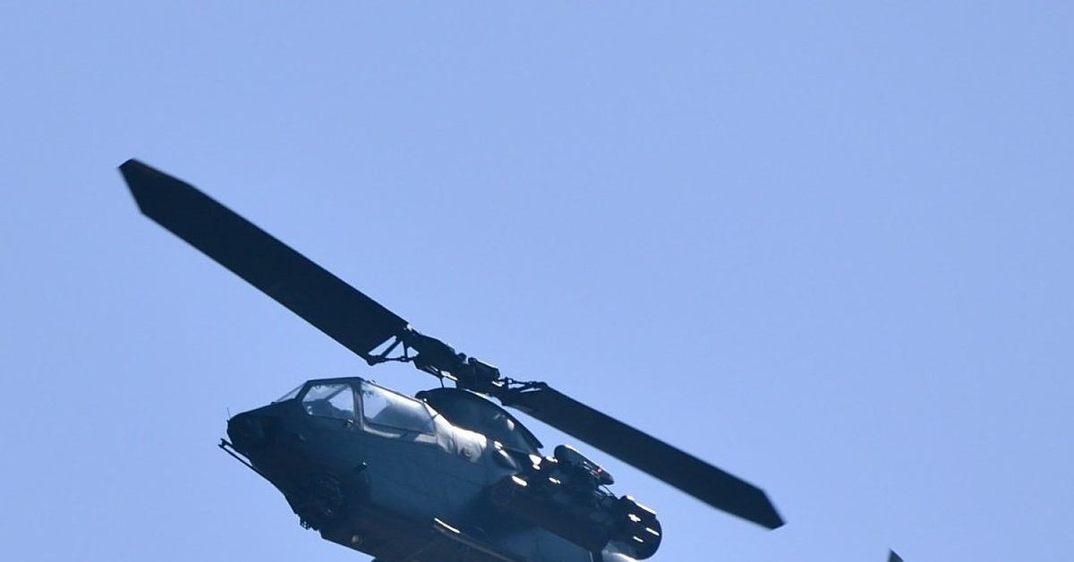 Cobra | Пикабу