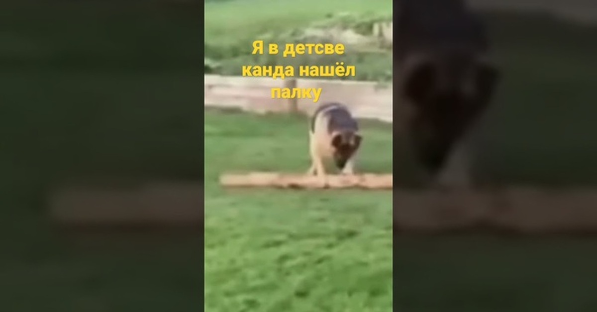 Продолжение поста «Stick Nation = новый модный тренд» | Пикабу