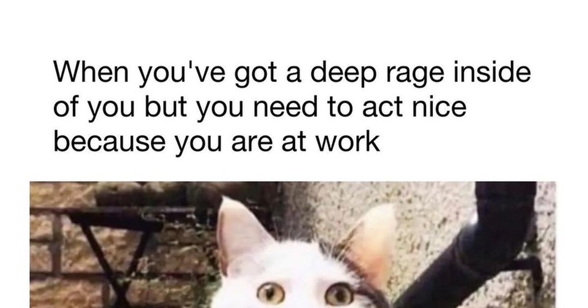 Rage inside | Пикабу