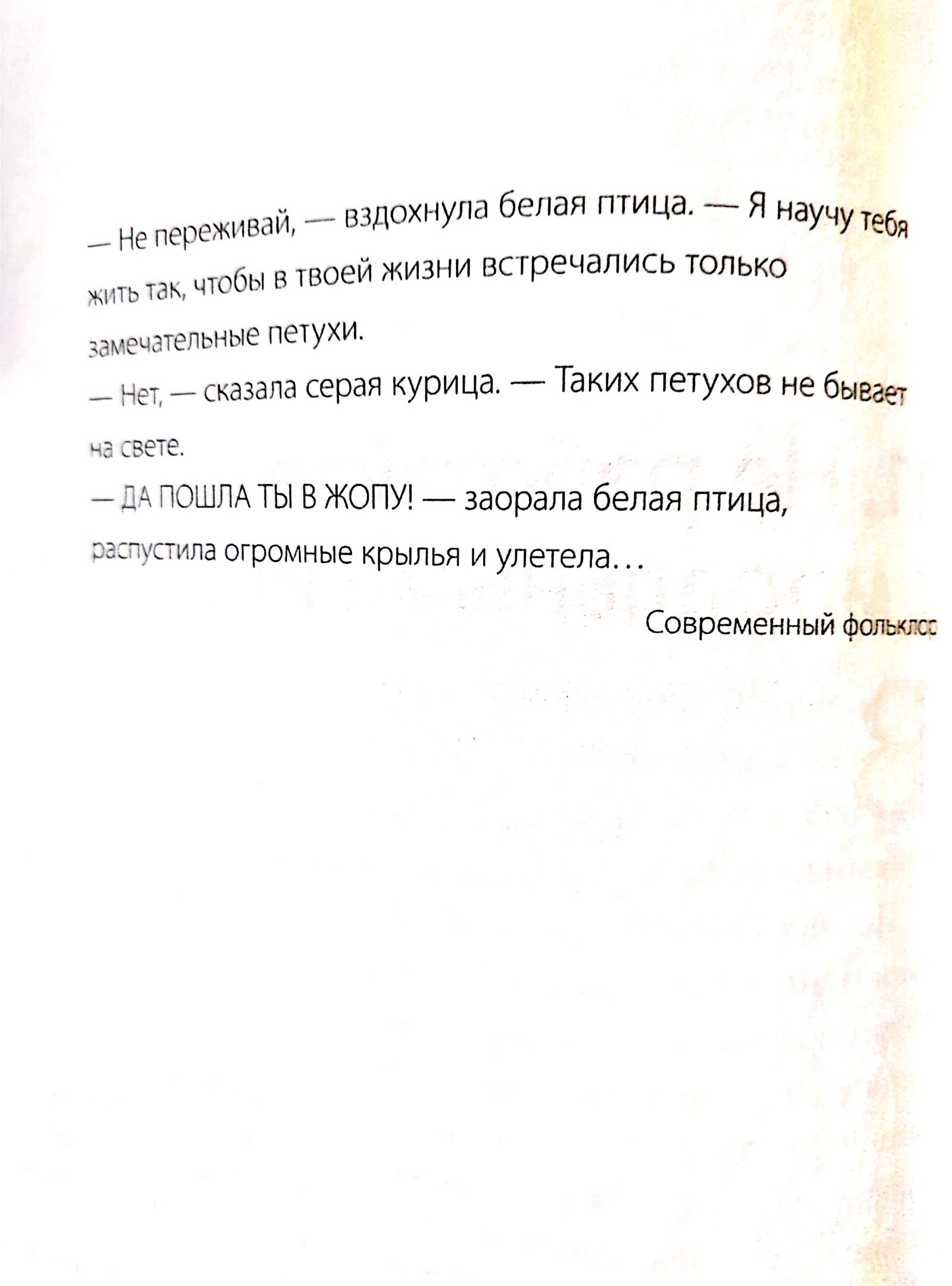 Курочки | Пикабу