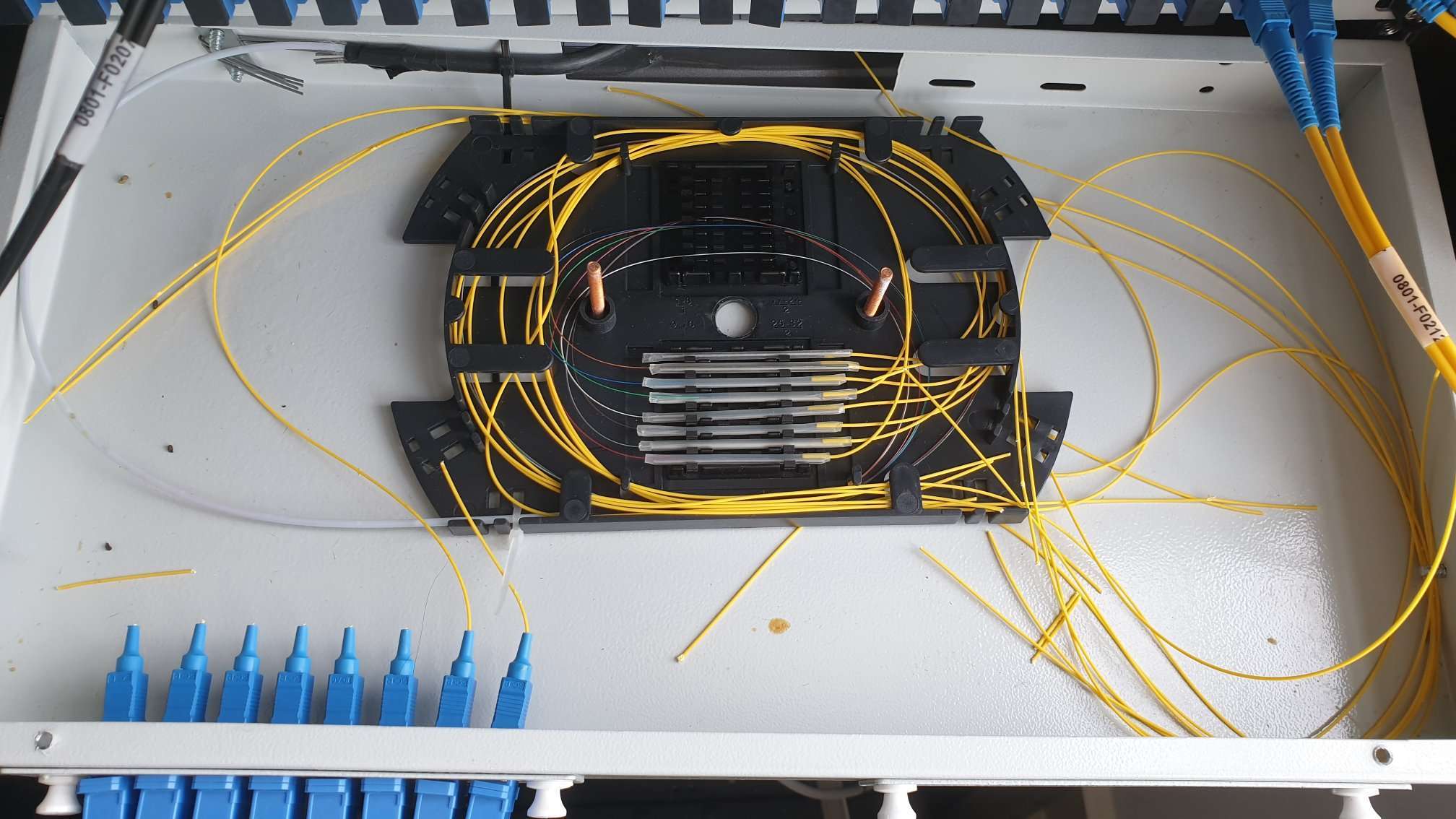 Мыши плакали, кололись, но продолжали жрать оптику | Пикабу