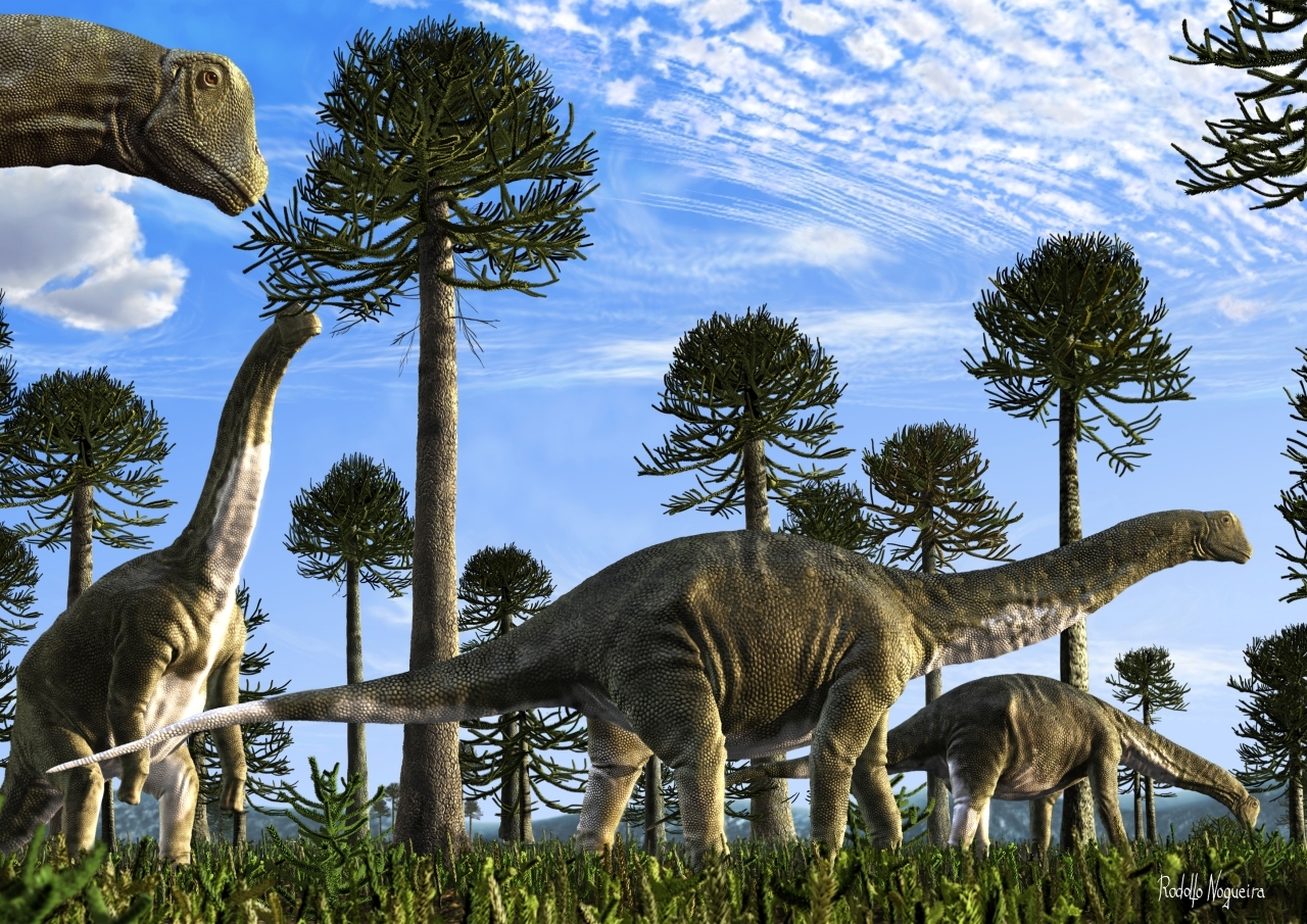 Зауропод и свечка - 17.01.20 19:02 | Пикабу