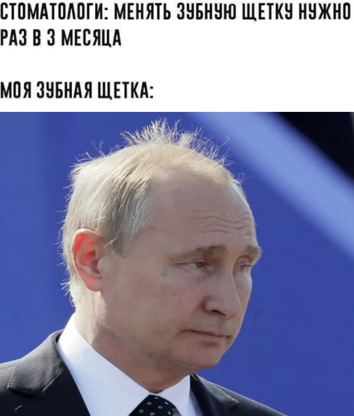 Одна щетка на всю жизнь | Пикабу