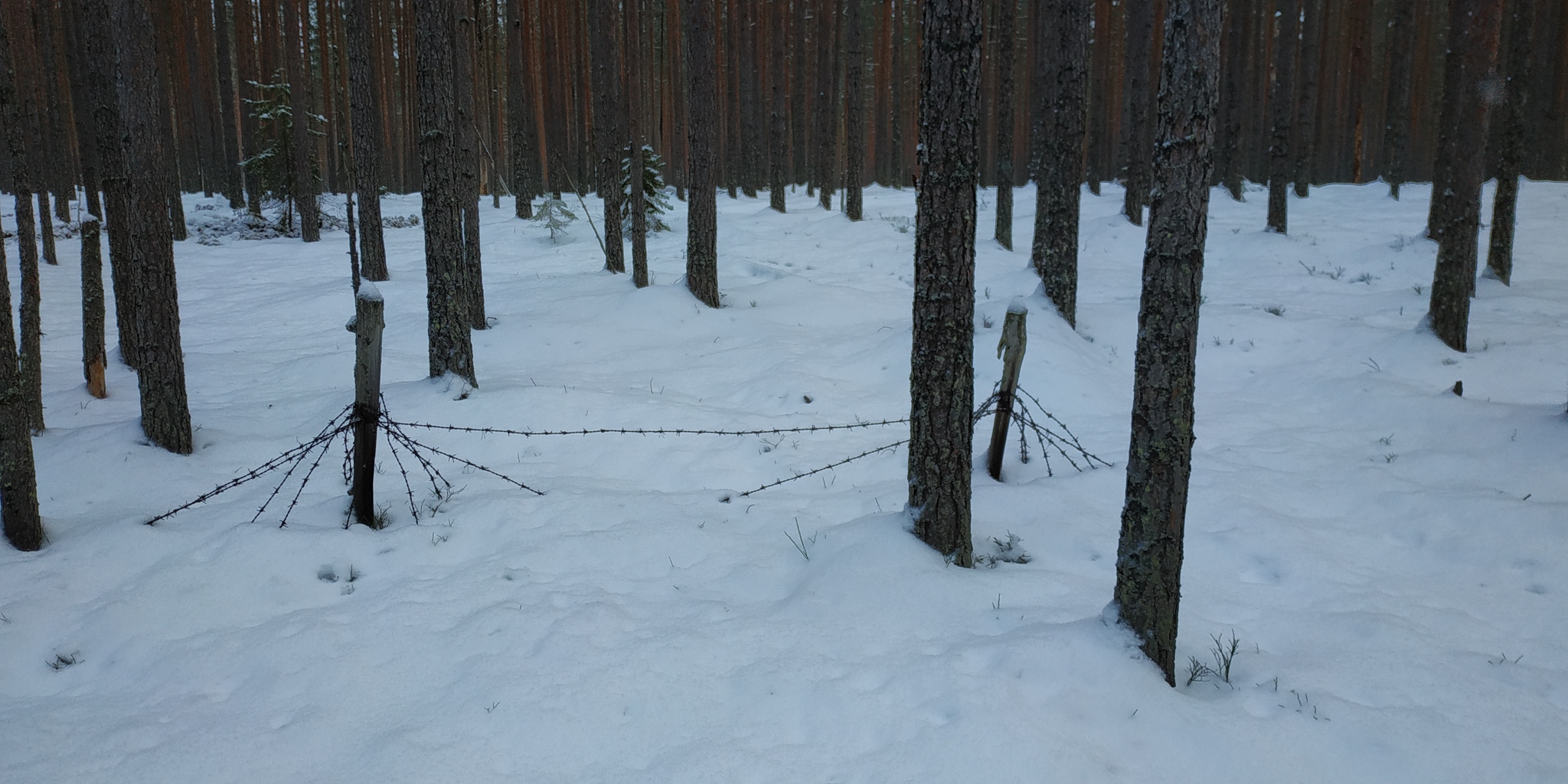 Батарея Kaarnajoki (Каарнайоки) | Пикабу