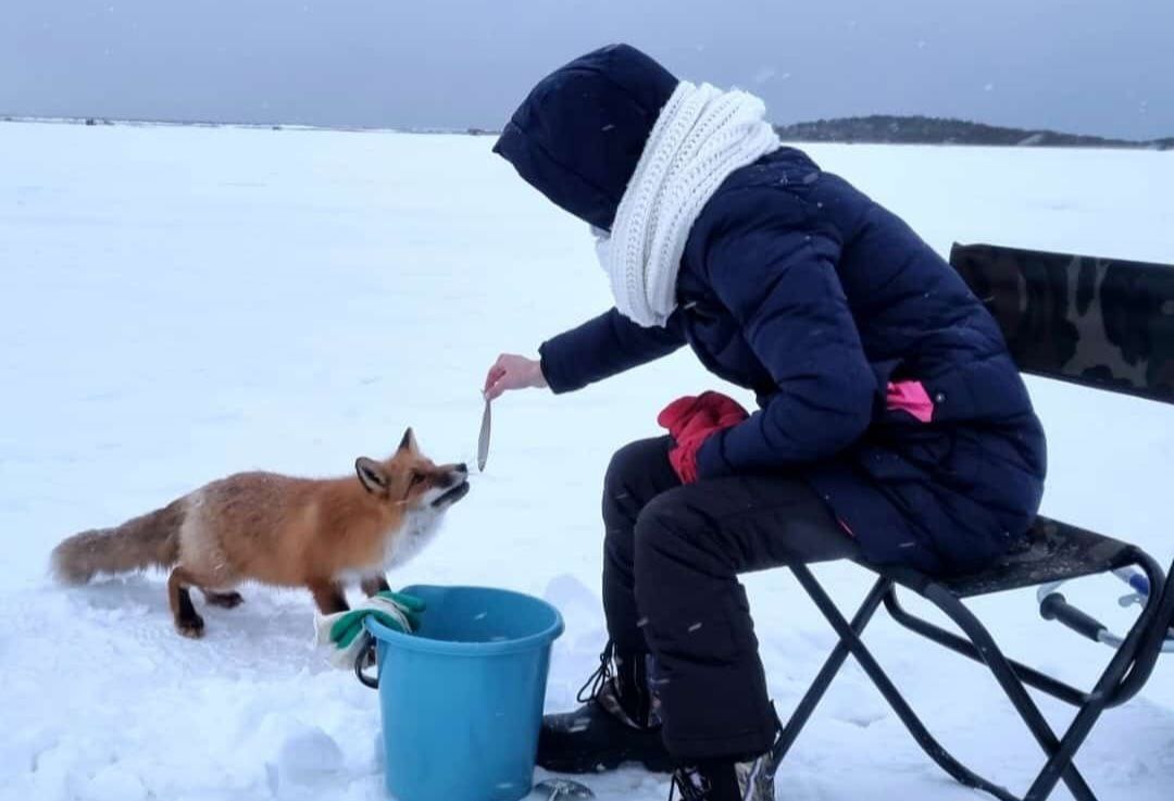 Сахалинская рыбалка | Пикабу