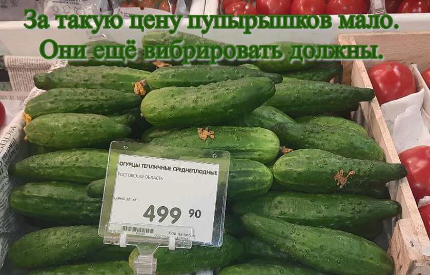 Почём огурчики? | Пикабу