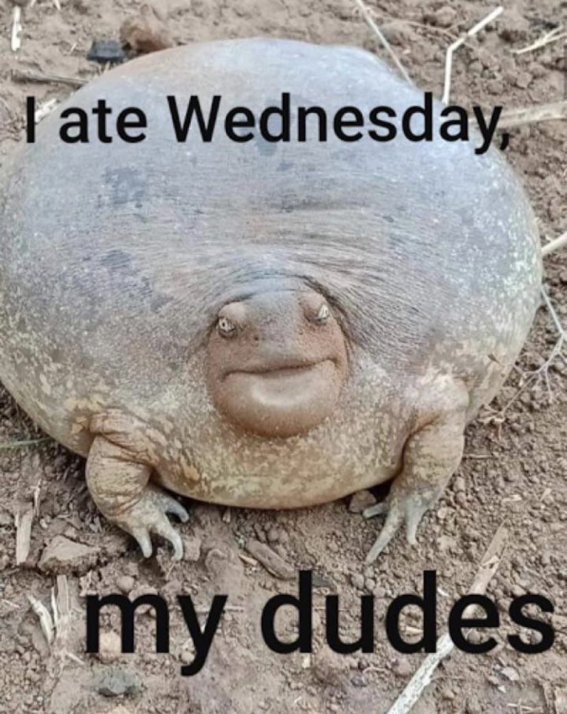 Wednesday, my dudes | Пикабу