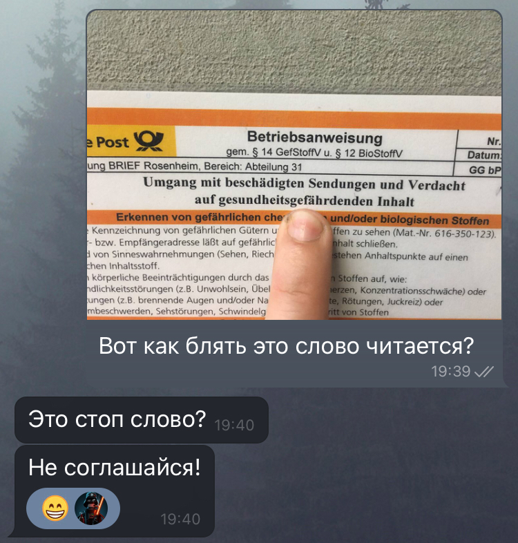 Флюгегехаймен | Пикабу