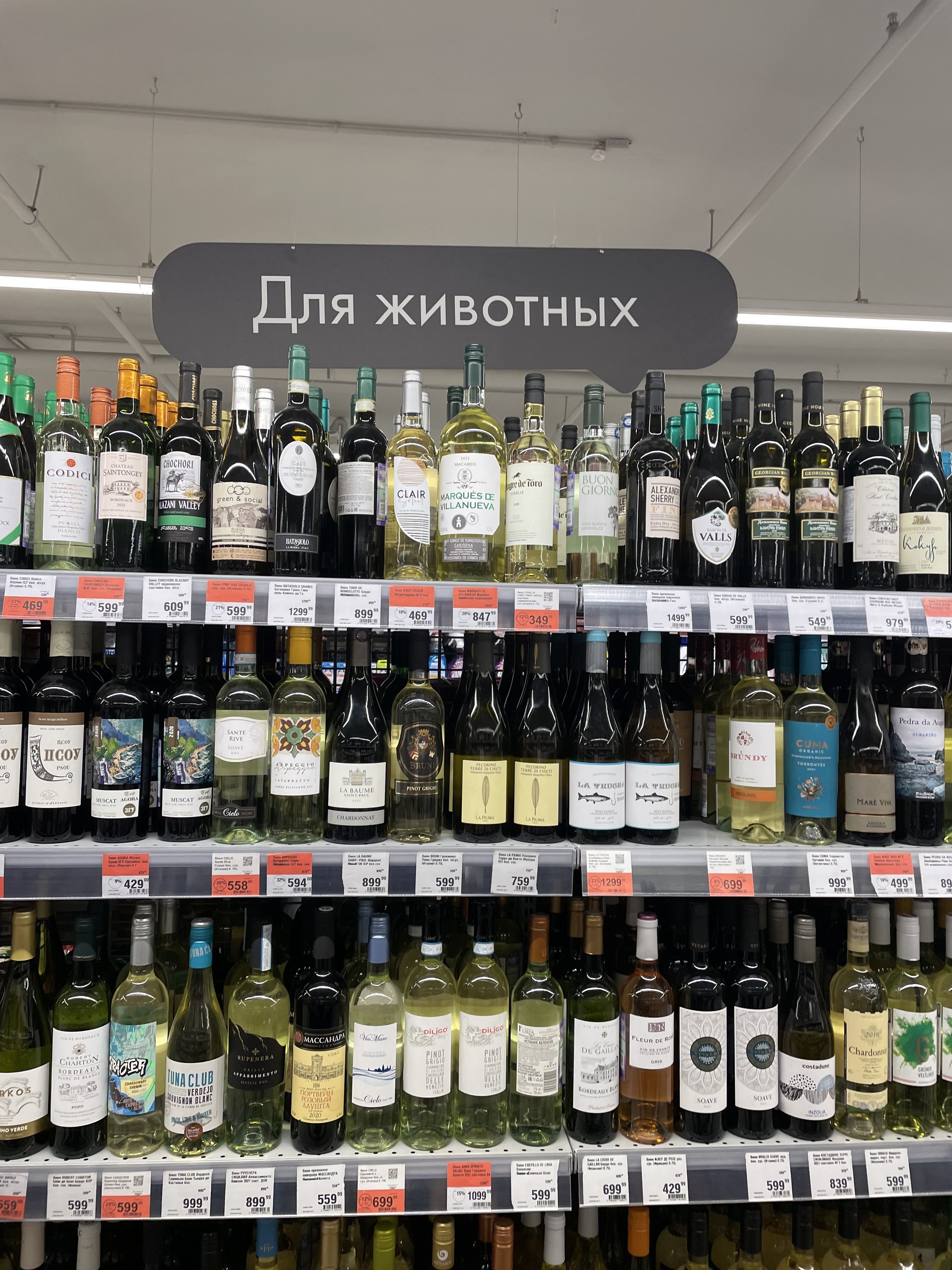 Лента для животных | Пикабу