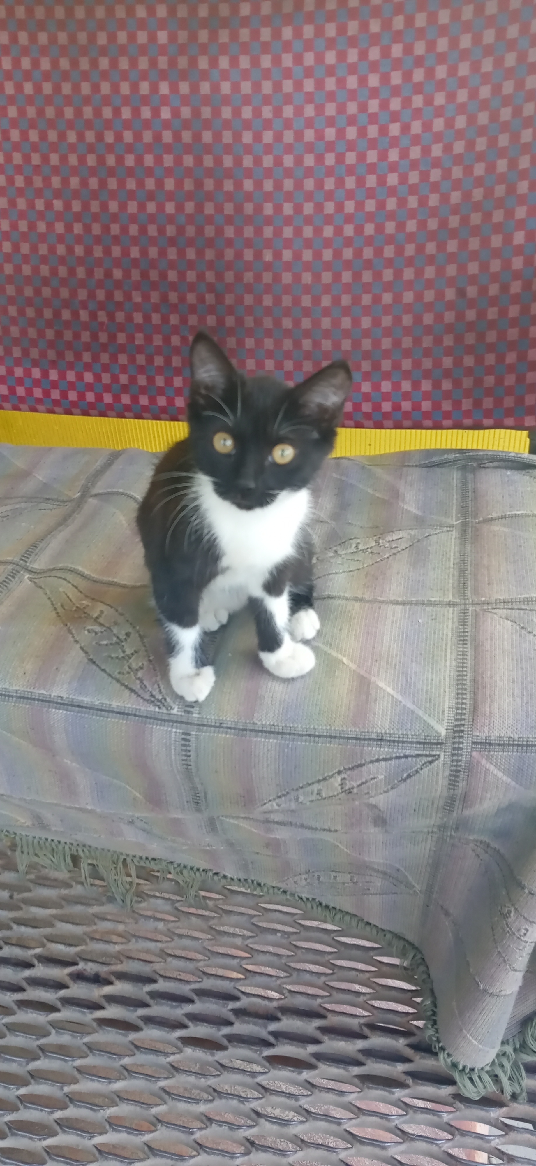 Потеряшка | Пикабу