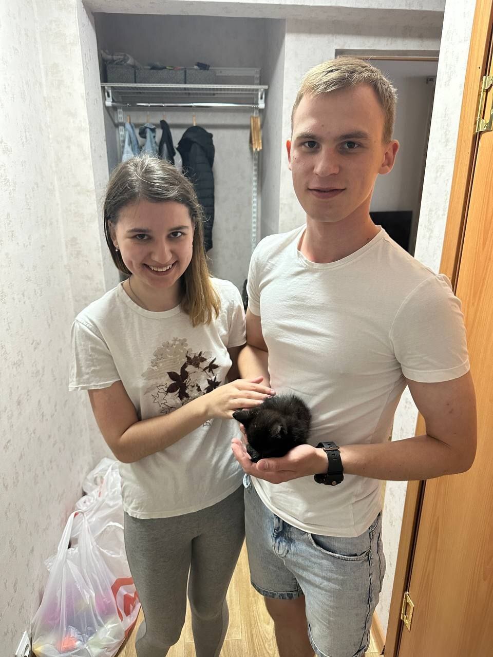 Продолжение поста «Как я приручаю диких котят при помощи звука (видео до и после через пару ...